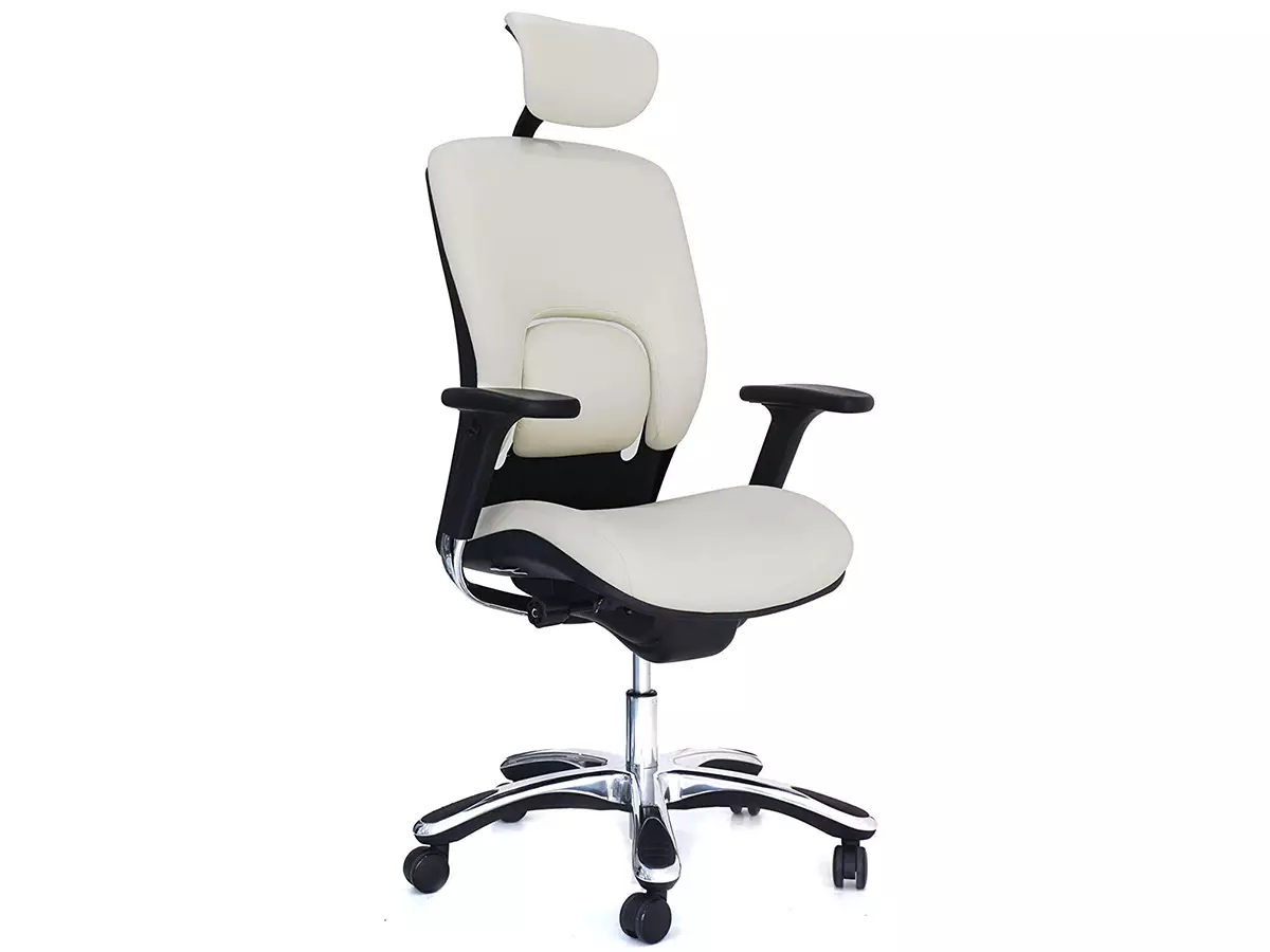 Gm seating ergolux