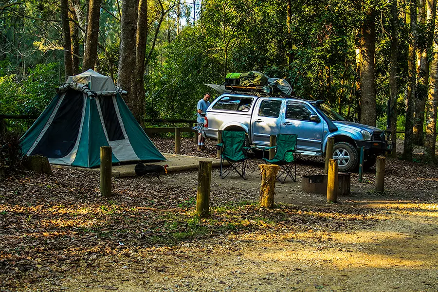 Bêste campingplakken Near Brisbane Conondale National Park
