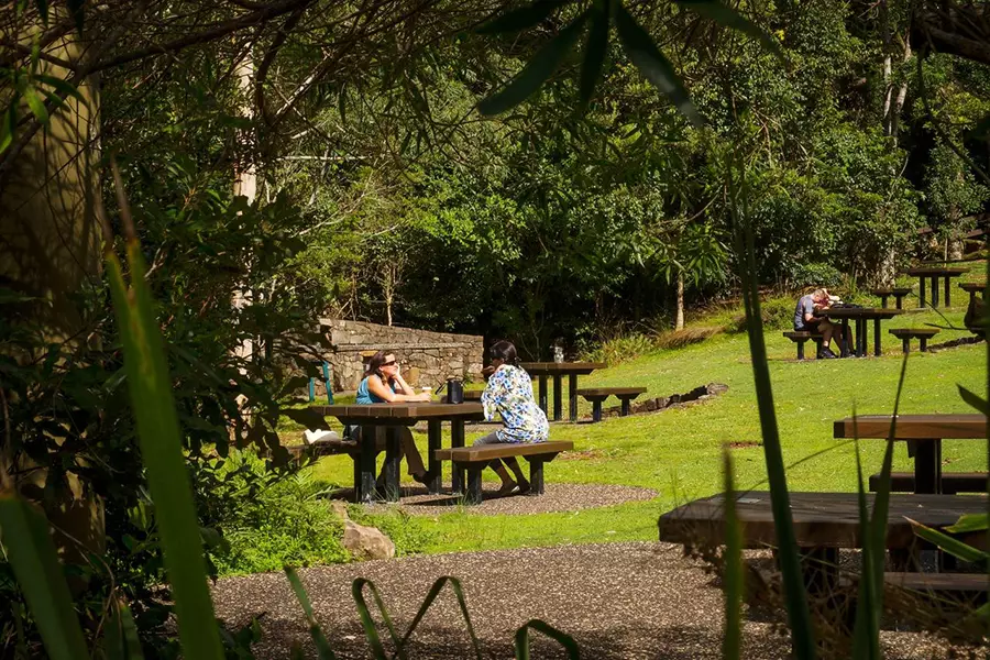 Najbolja mjesta za kampiranje u blizini Nacionalnog parka Brisbane Lamington
