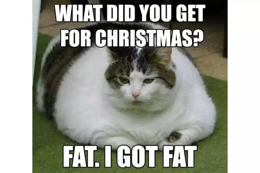 Oltre 50 migliori meme di Natale su Internet 1360_8