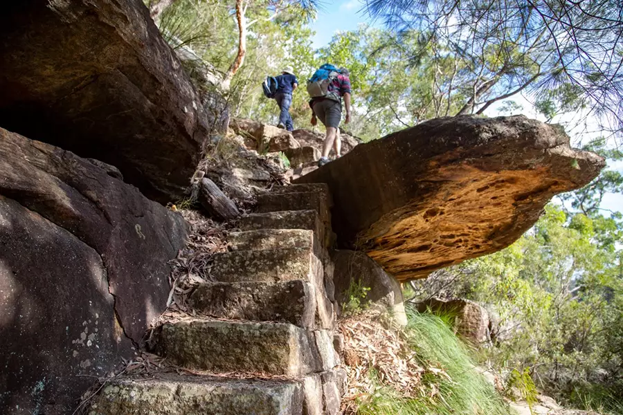 Melhores trilhas e trilhas Sydney Cowan para Berowra