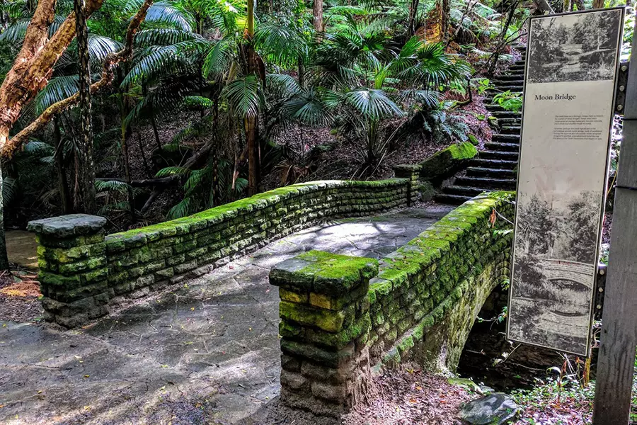 Melhores trilhas e trilhas trilhas para caminhada em Sydney Cooper Park