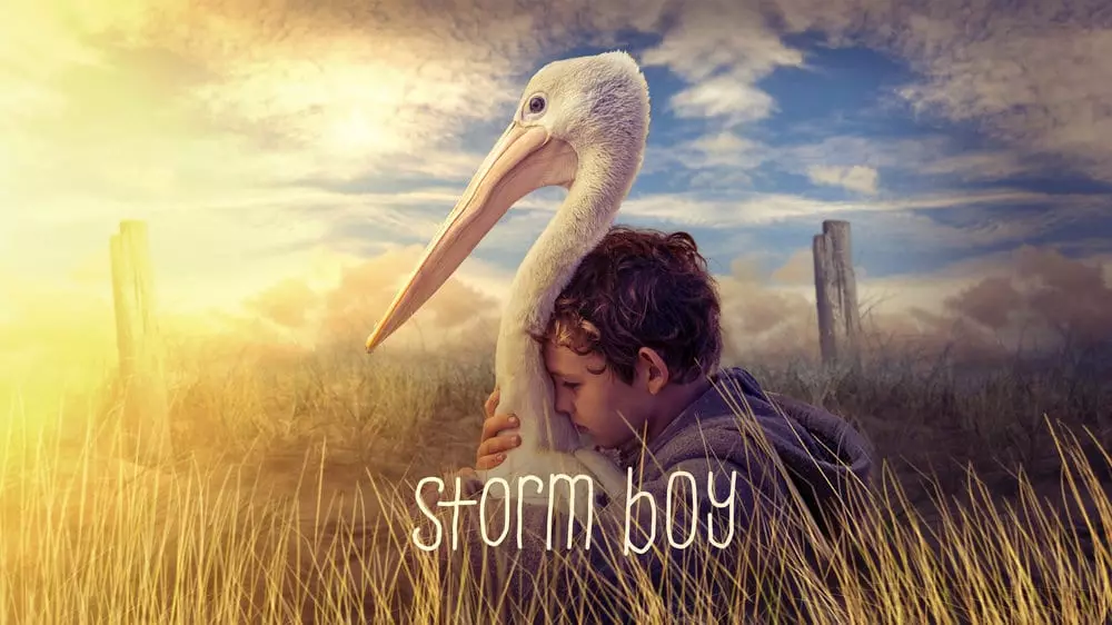 โปสเตอร์เว็บไซต์ของ storm boy v2 ขนาดเล็ก