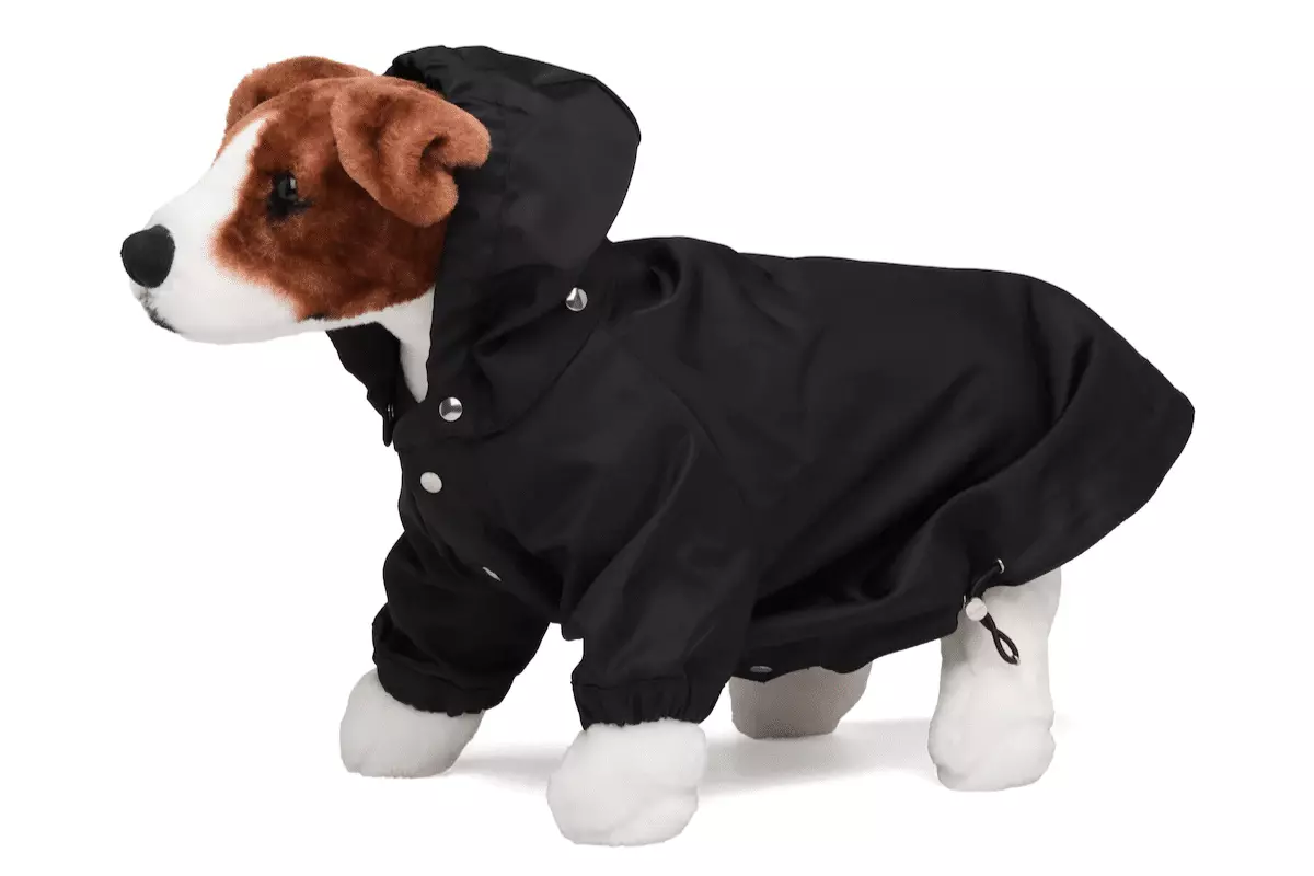 casaco de cachorro Prada