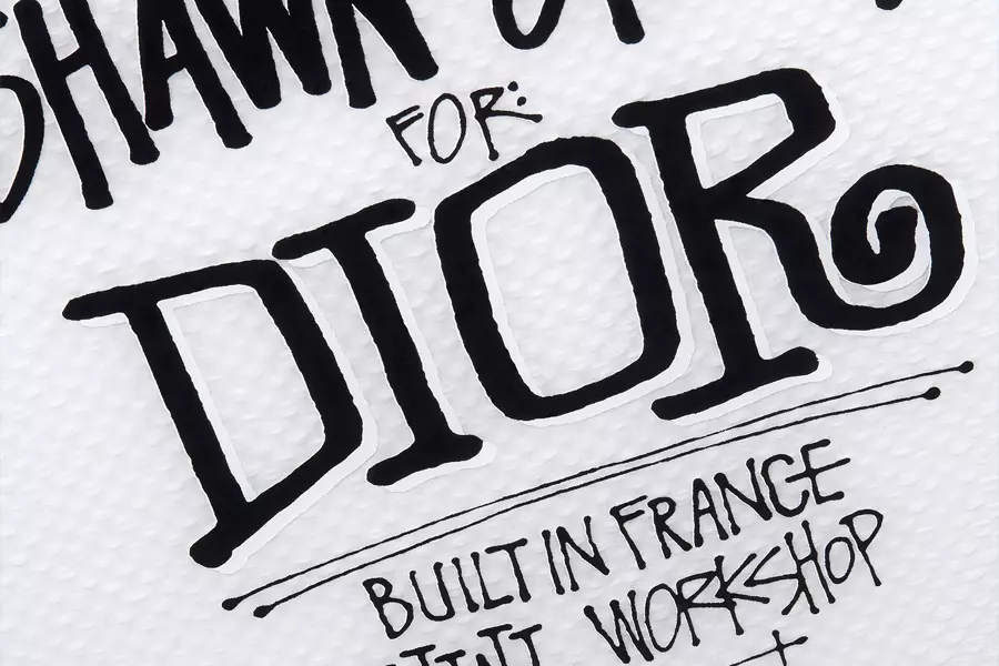Dior x Shawn Stussy ៨