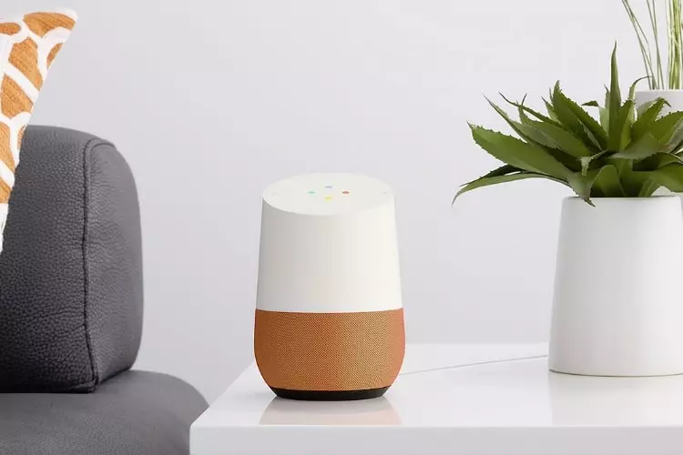 google home