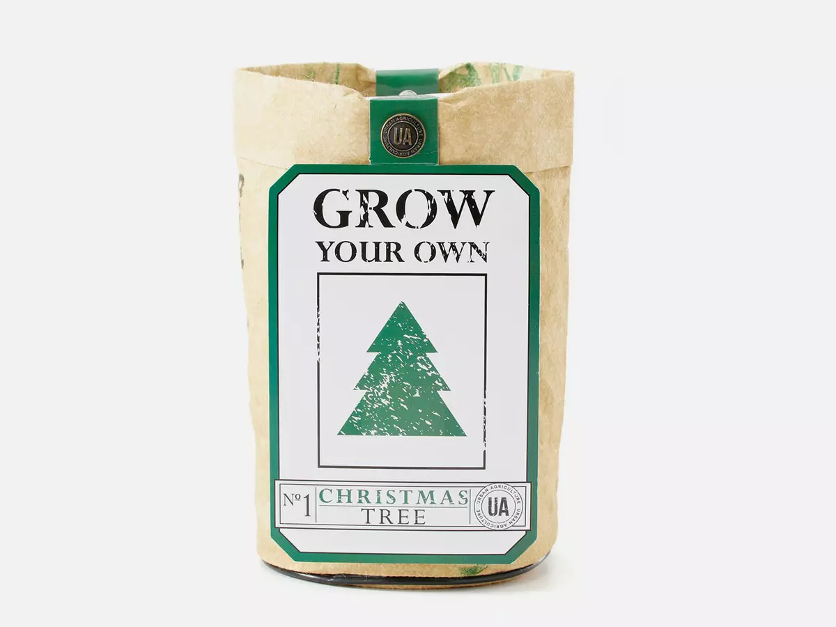 A agricultura urbana cultiva o teu propio kit de árbore de Nadal