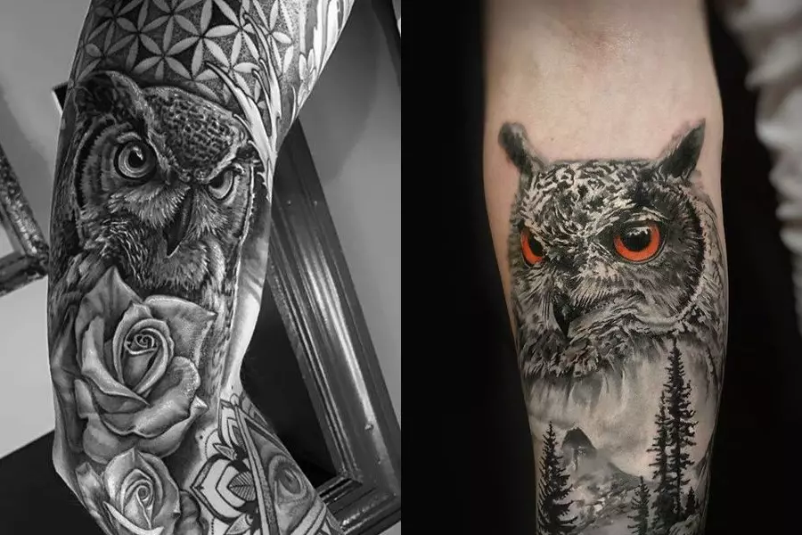 Owl Tattoo ასლი