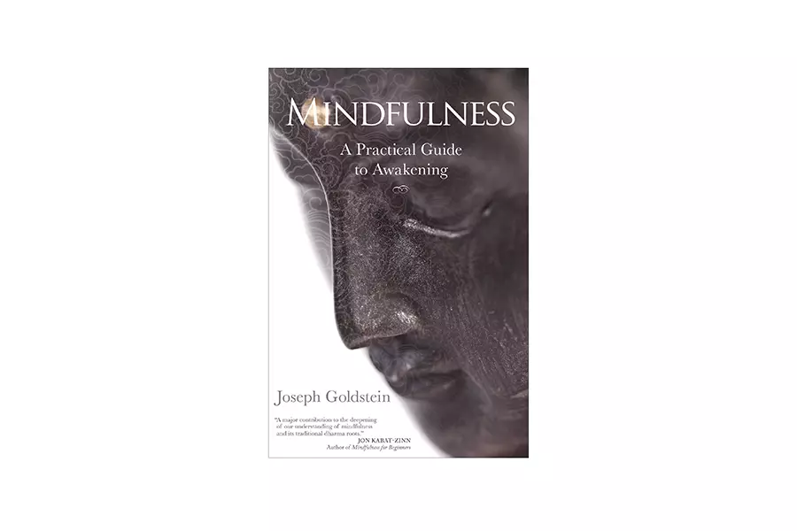 Mindfulness A Practical Guide to Awakening by Joseph Goldstein Christmas Gift Guide Corporate