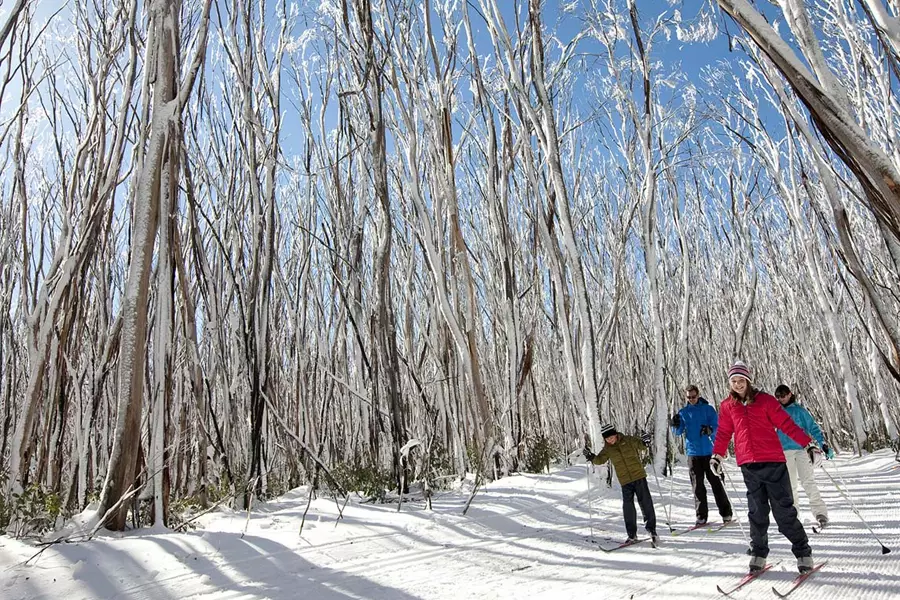 湖山滑雪