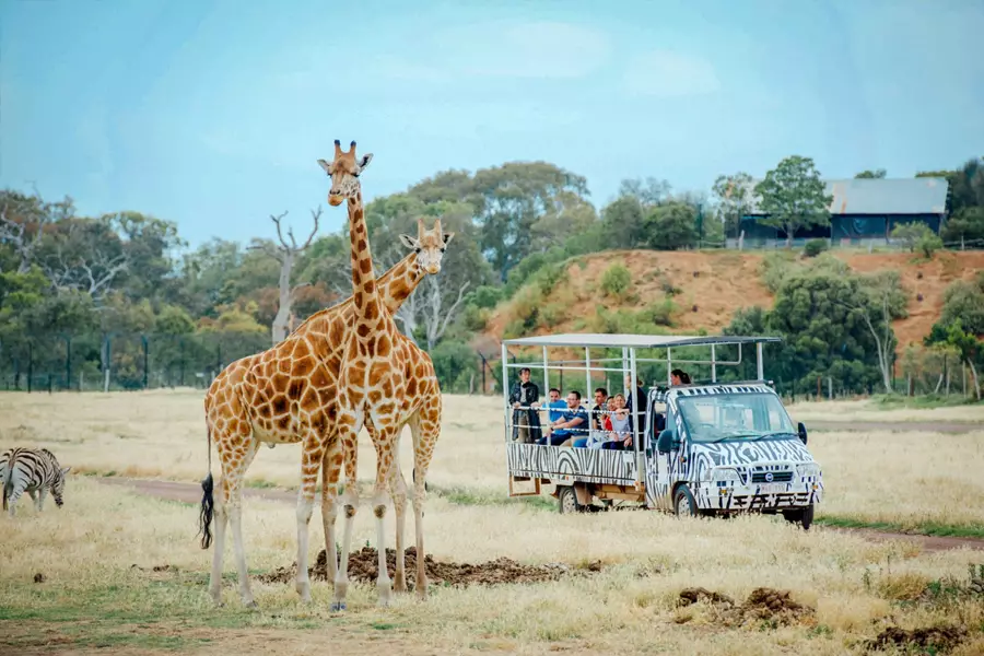 Grădina Zoologică Werribee Open