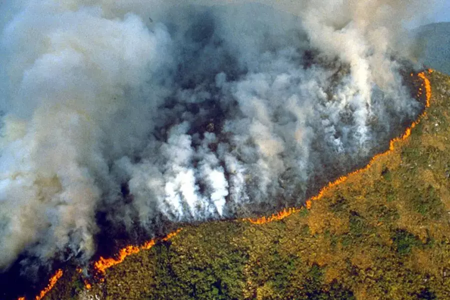 亚马逊雨林燃烧