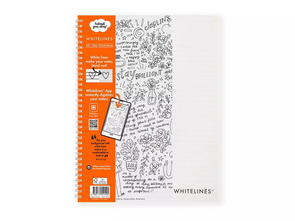 Melhores notebooks que não são notebooks moleskine whitelines