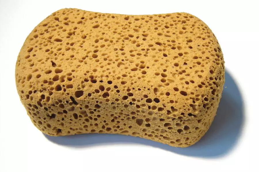 Trypophobia