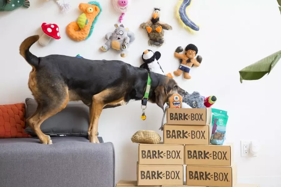 barkbox prenumerata