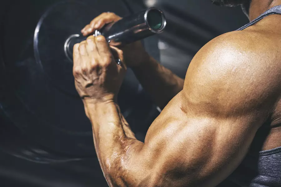 mejores ejercicios para biceps 2