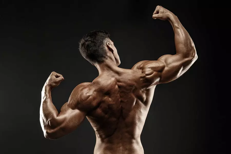 mejores ejercicios para biceps 3