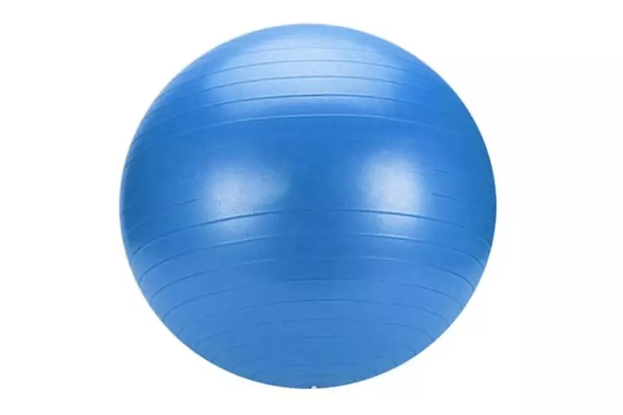 Steeden Exercise Ball