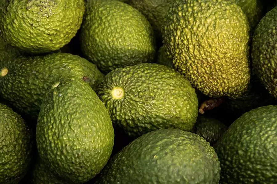 Sundhedsmæssige fordele ved avocado 2
