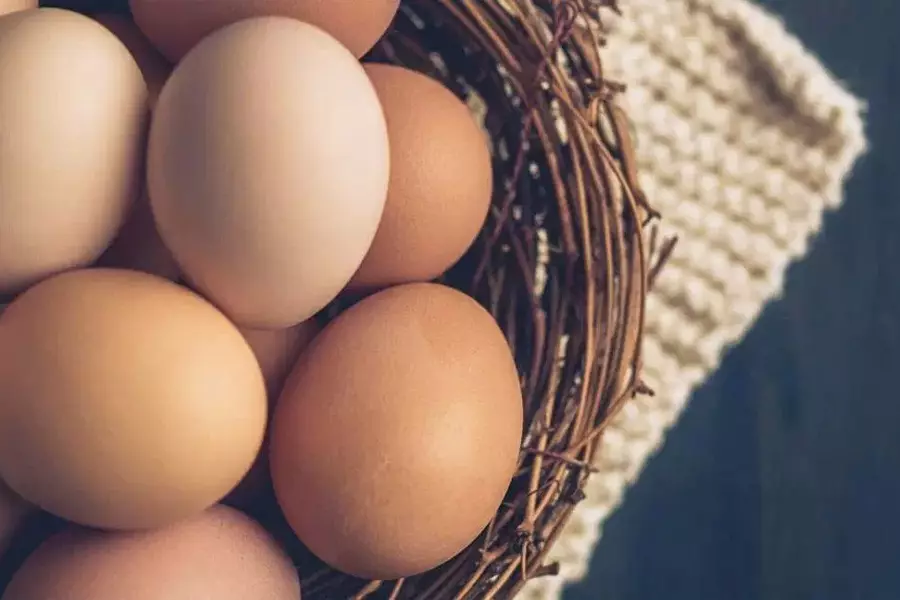 საუკეთესო ჯანსაღი საჭმელები წონის დაკლებისთვის - კვერცხი