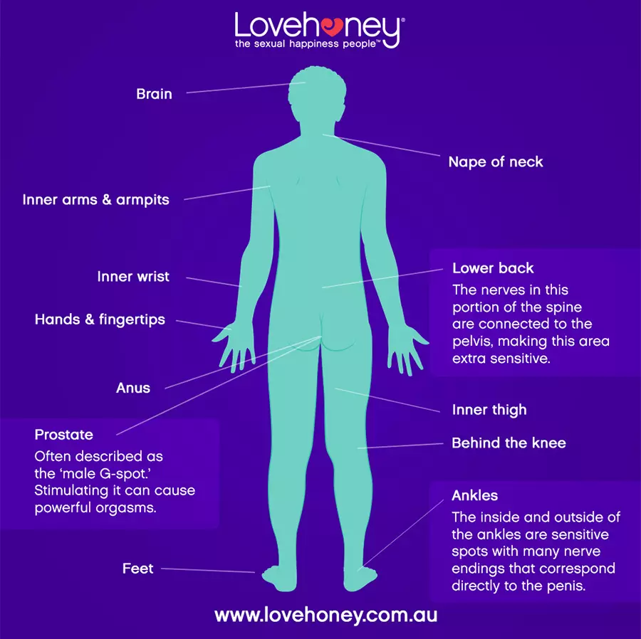 Lovehoney erogen zonalari - Orqaga