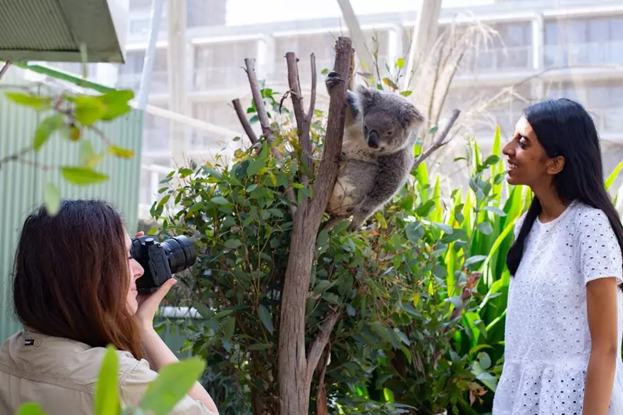 Sovaĝa Vivo Sidneja Zoo