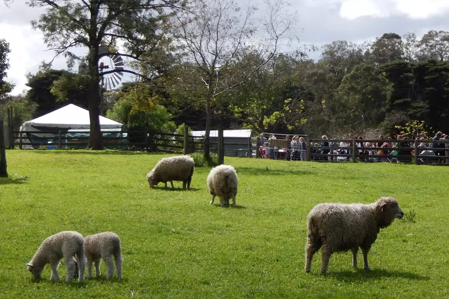 Tanggal gagasan Melbourne - Collingwood Ladang