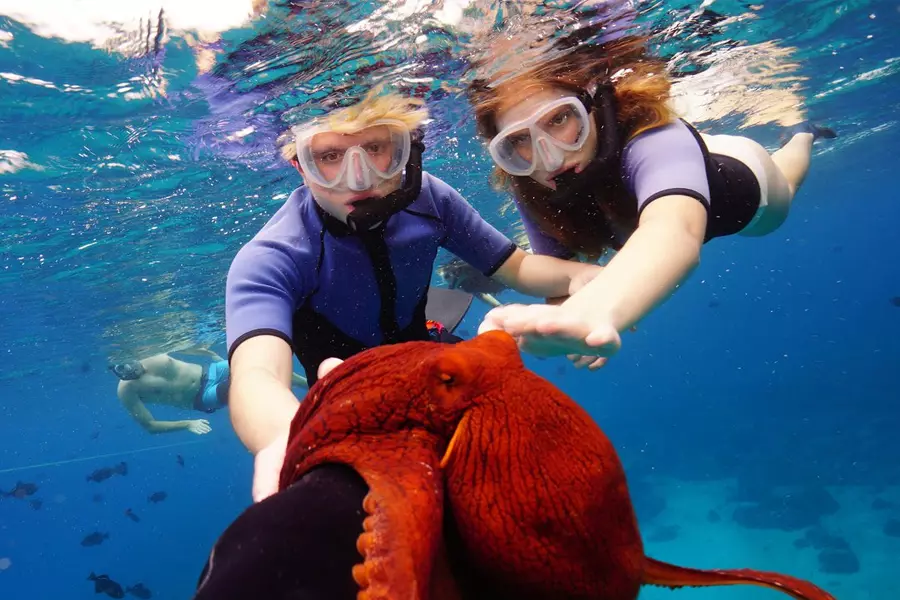 Snorkelling