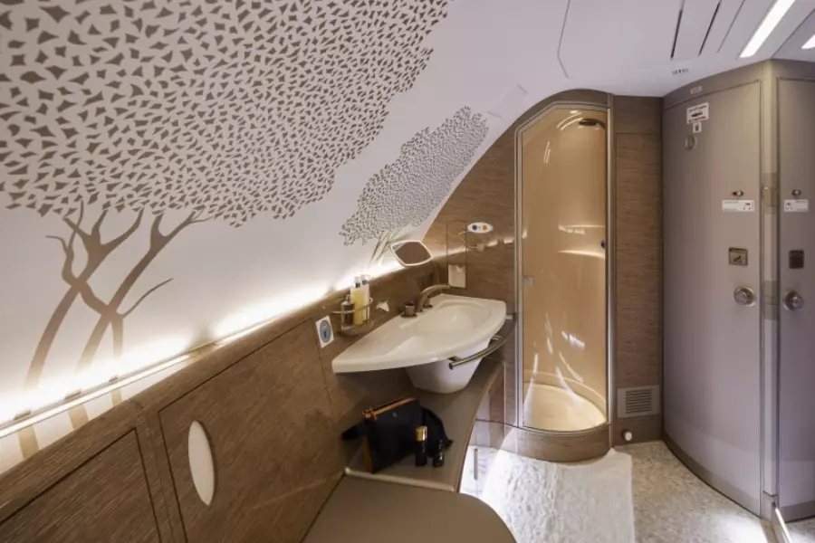 Emirates ने Luxe New A380 प्रीमियम इकॉनॉमी अपग्रेडचे अनावरण केले 6949_9