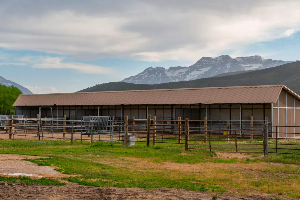 Rancho de Cavalos Robert Redford