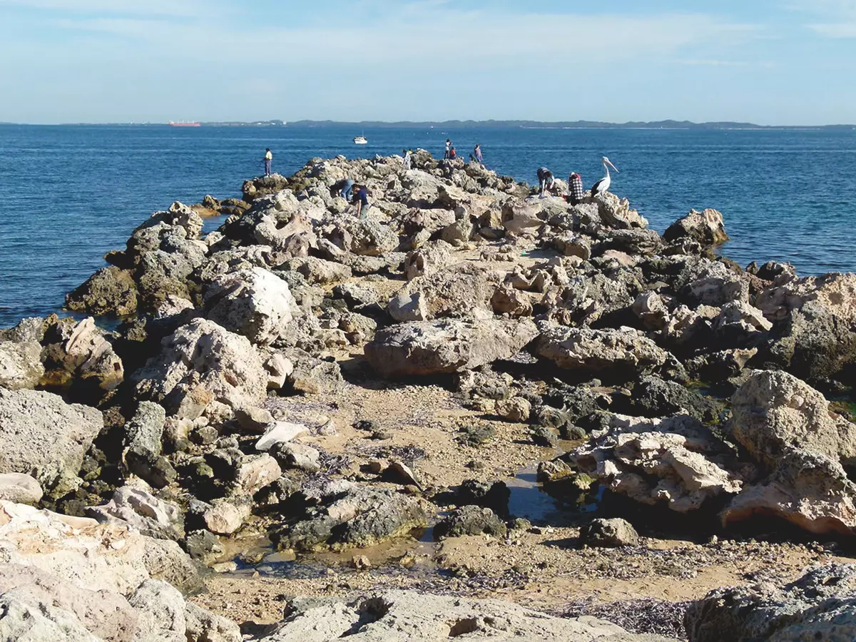 Woodman ነጥብ Munster groyne