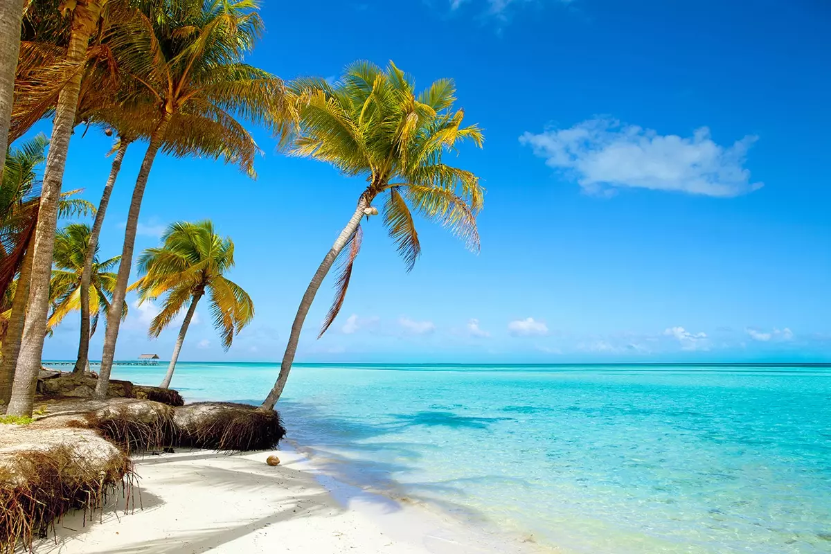 有棕櫚樹的聖瑪麗亞海灘
