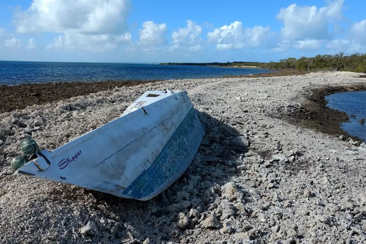 Cele mai bune locuri de pescuit din Brisbane Mud Island, Moreton Bay