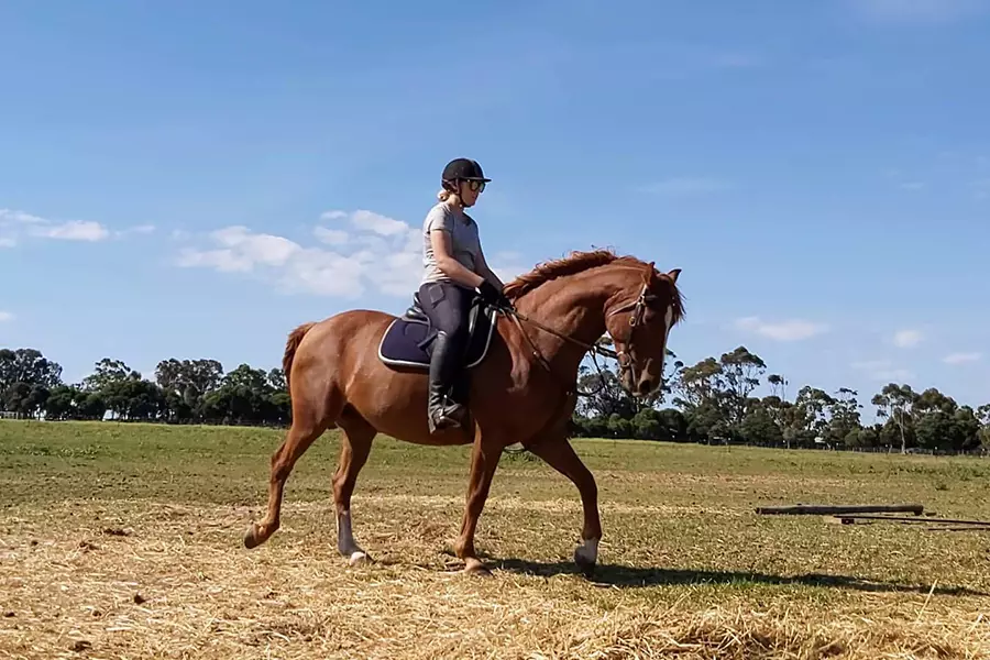Greenvale Horse Riding Melburno