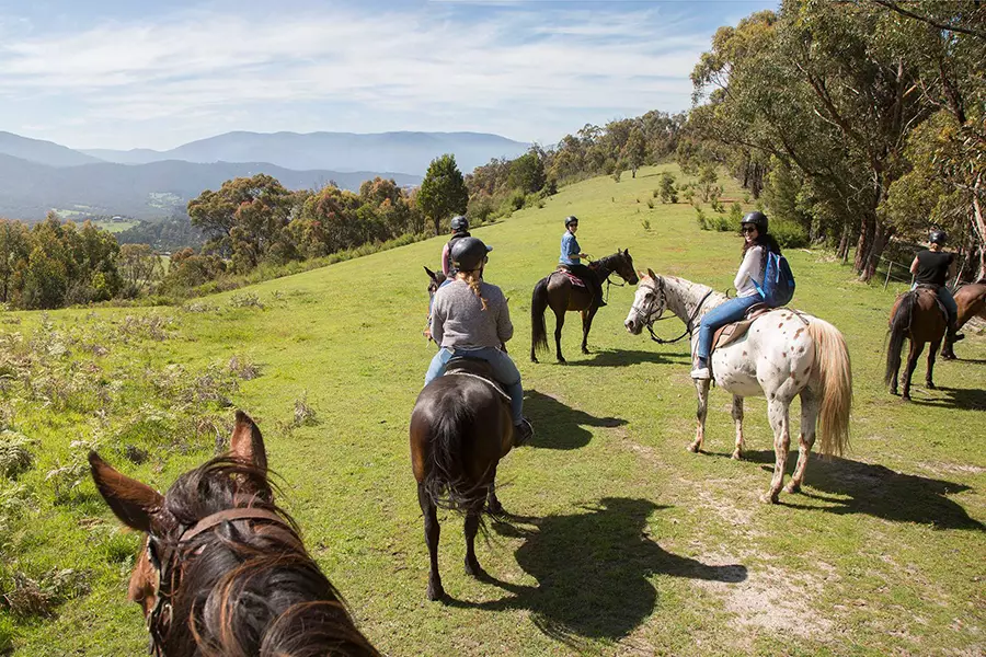 Јахање коња у долини Јара Мелбурн