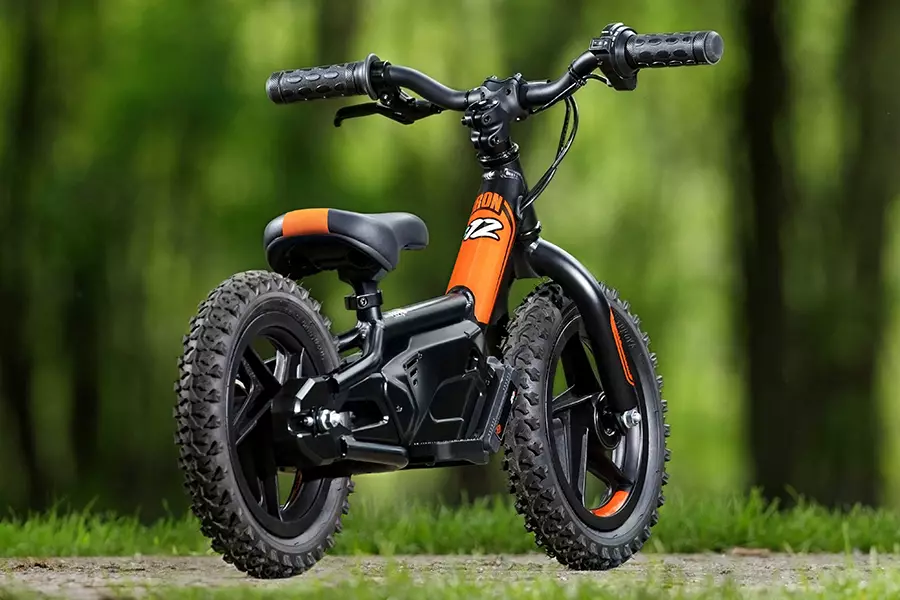 Электрычны Harley Davidson, выгляд ззаду