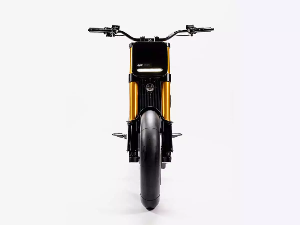 Dab motor electric bike 1