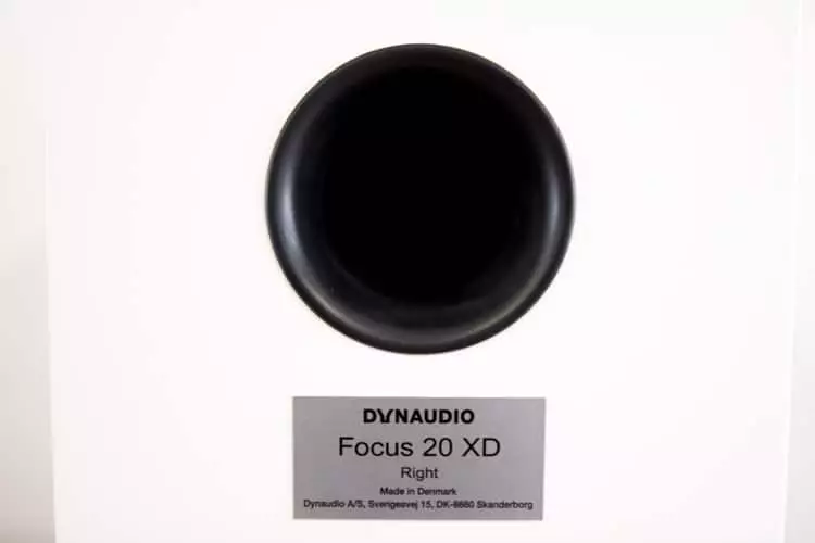 dynaudio focus 20xd speaker និងឧបករណ៍ភ្ជាប់របស់វា។