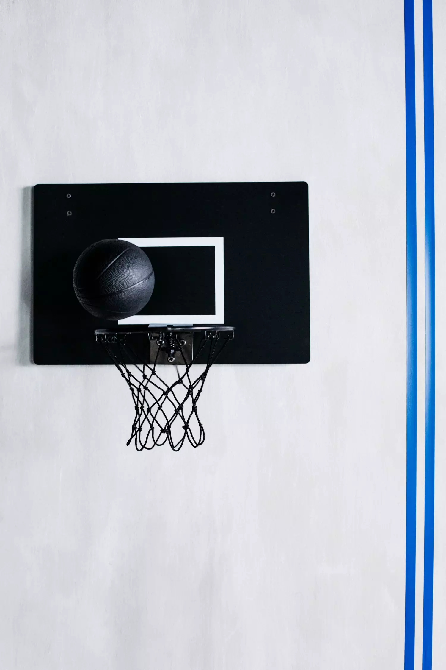 ikea spanst basketball kuri net