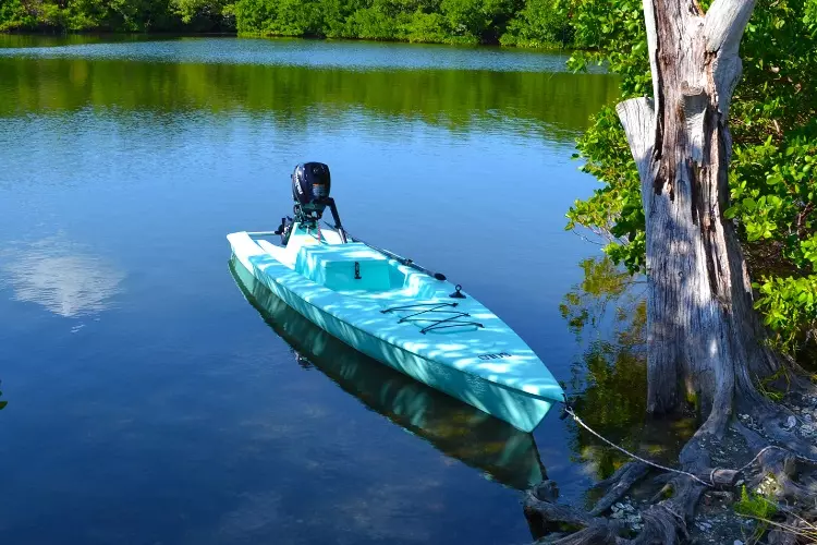 solo fiskersboat tichtby de rivier